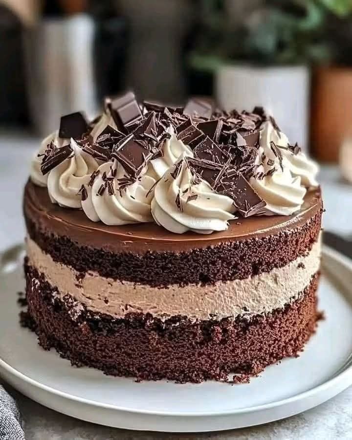 The Best Chocolate Mousse Cake for Serious Dessert Lovers – chefmaniac.com